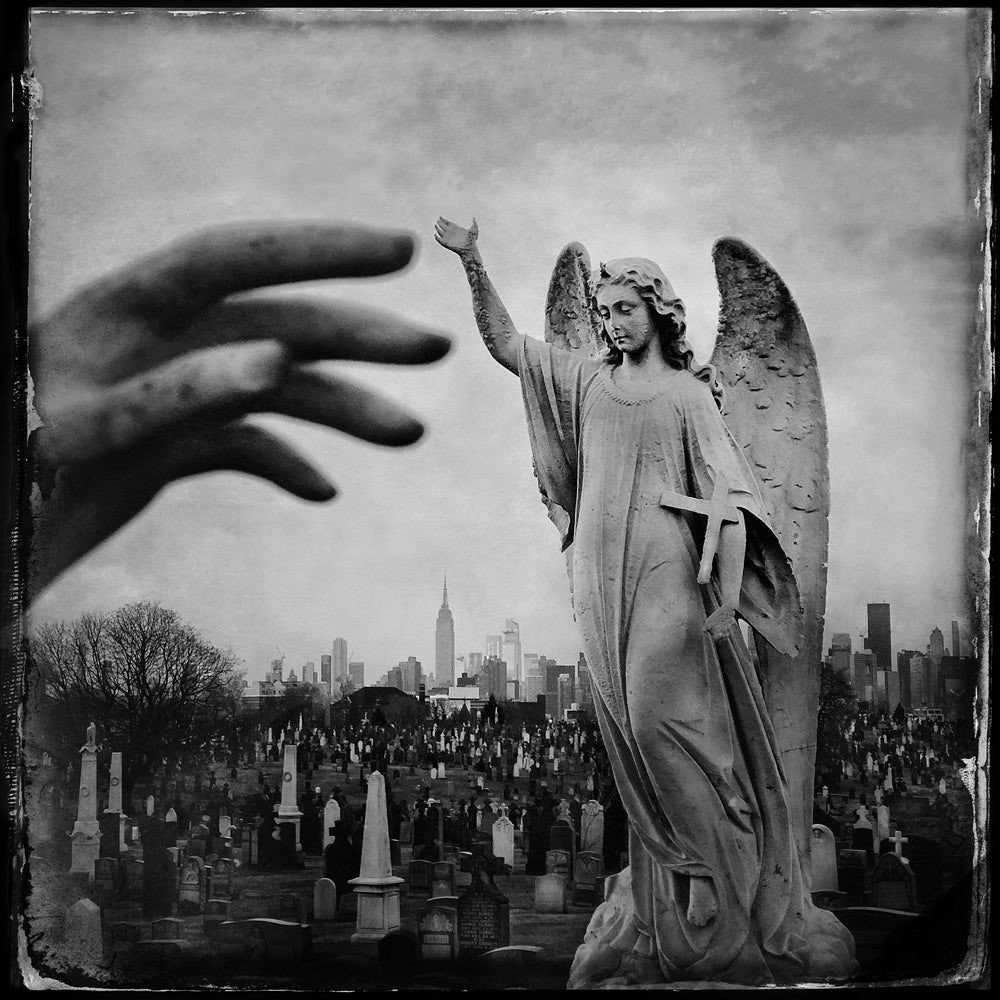 New York angel – Lily and the Horse